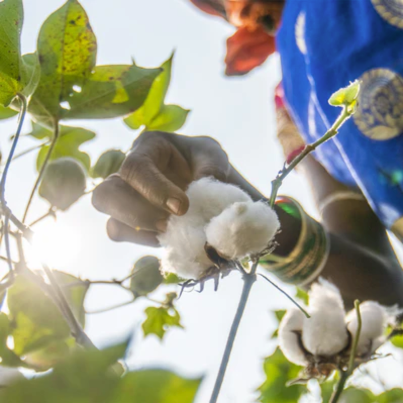 DEDE Shampoo | Davines